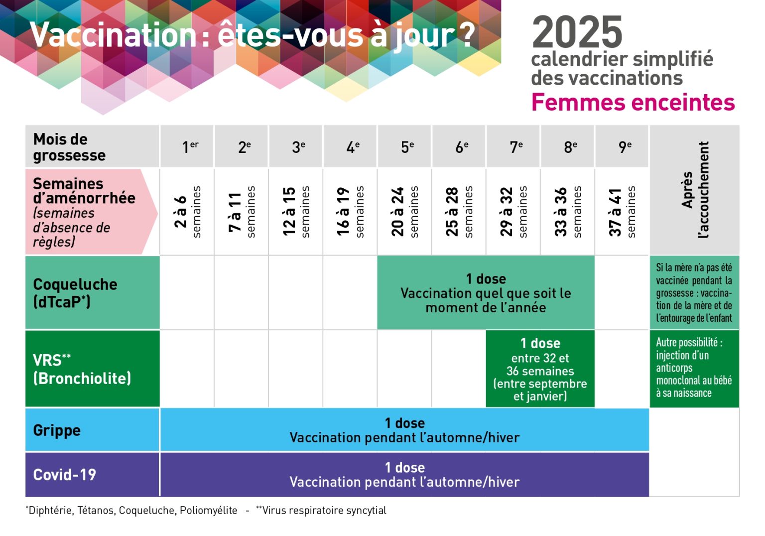 Vaccination et grossesse : un calendrier simplifié au format carte ...